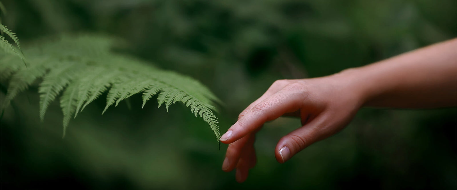 Nature Body NZ | Natural and made in NZ